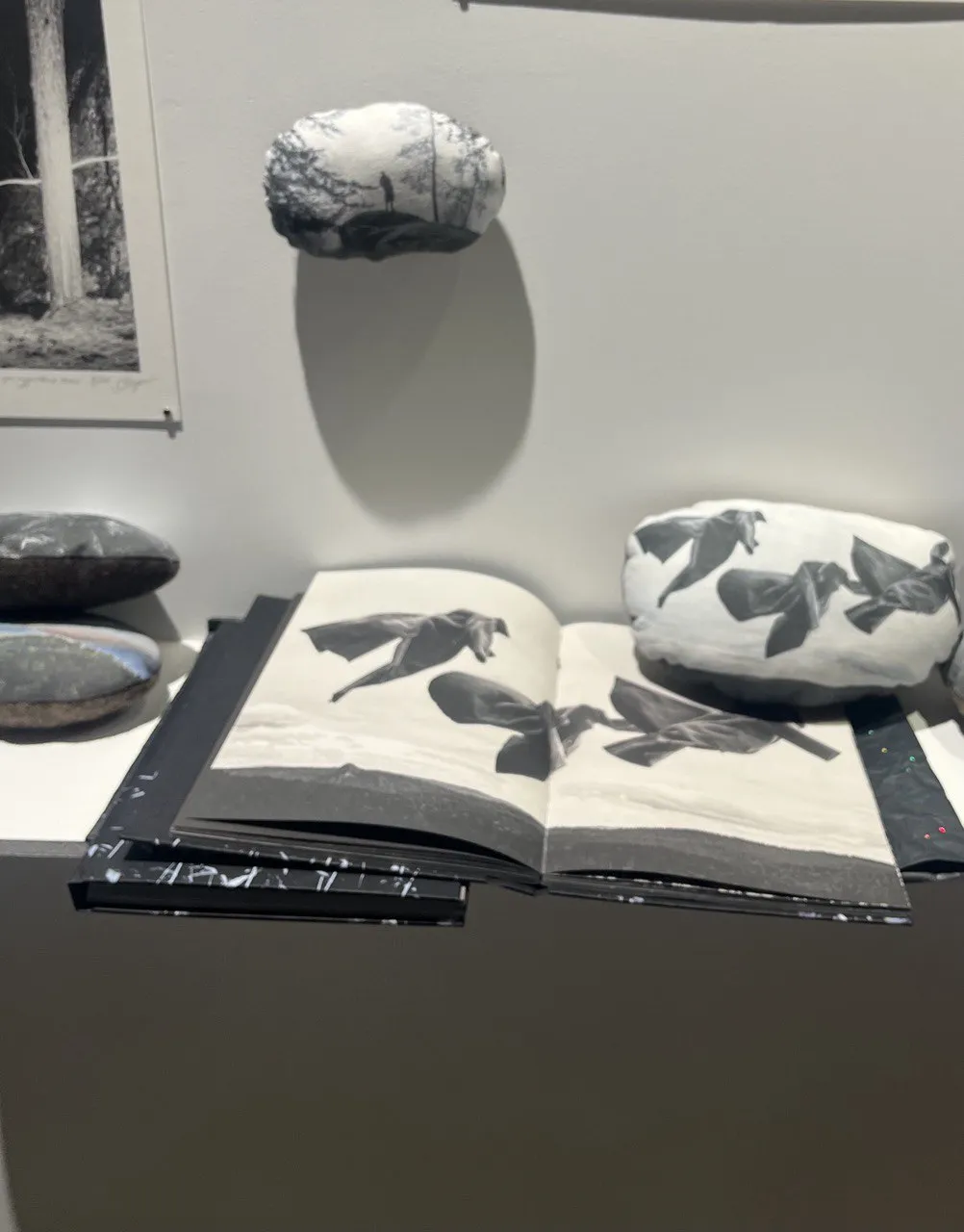 В Красноярске открылась ярмарка современного искусства SCAN FAIR ...